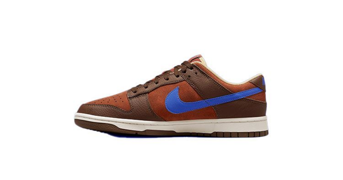 Dunk Low Mars Stone DR9704-200 | Dead Stock