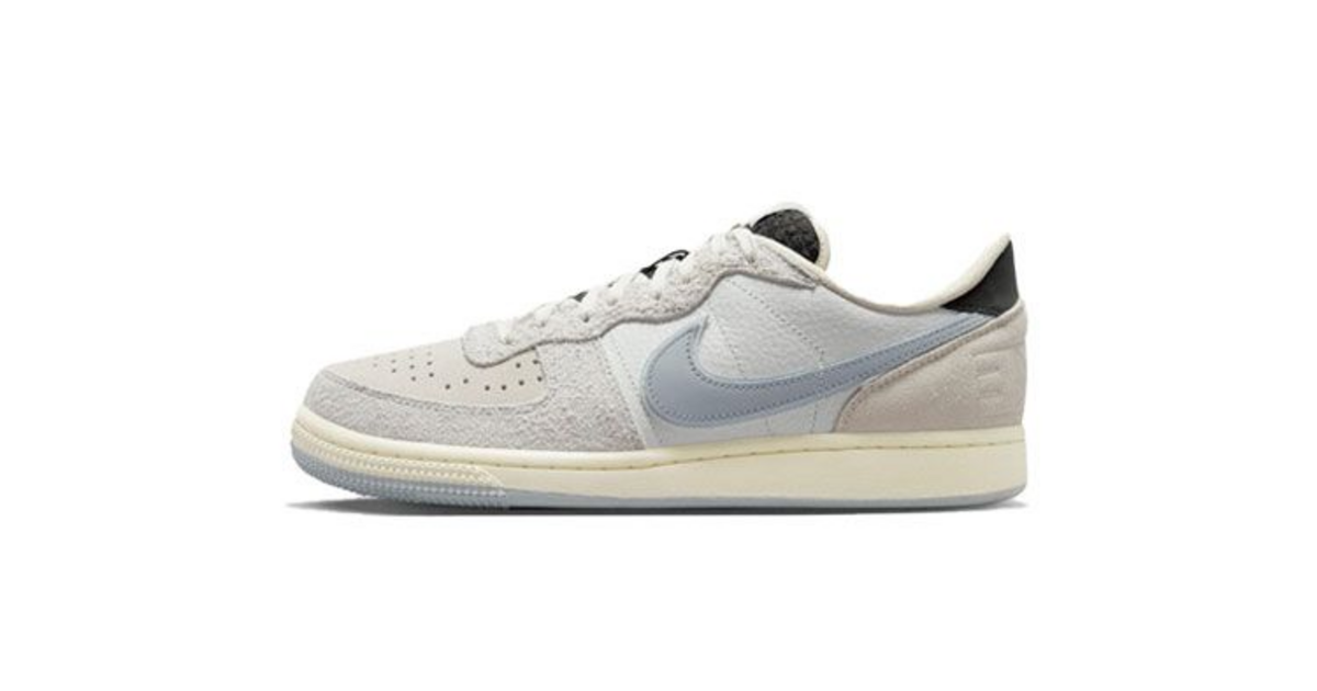 Nike Terminator Low Liberte FJ4207-001 | Dead Stock