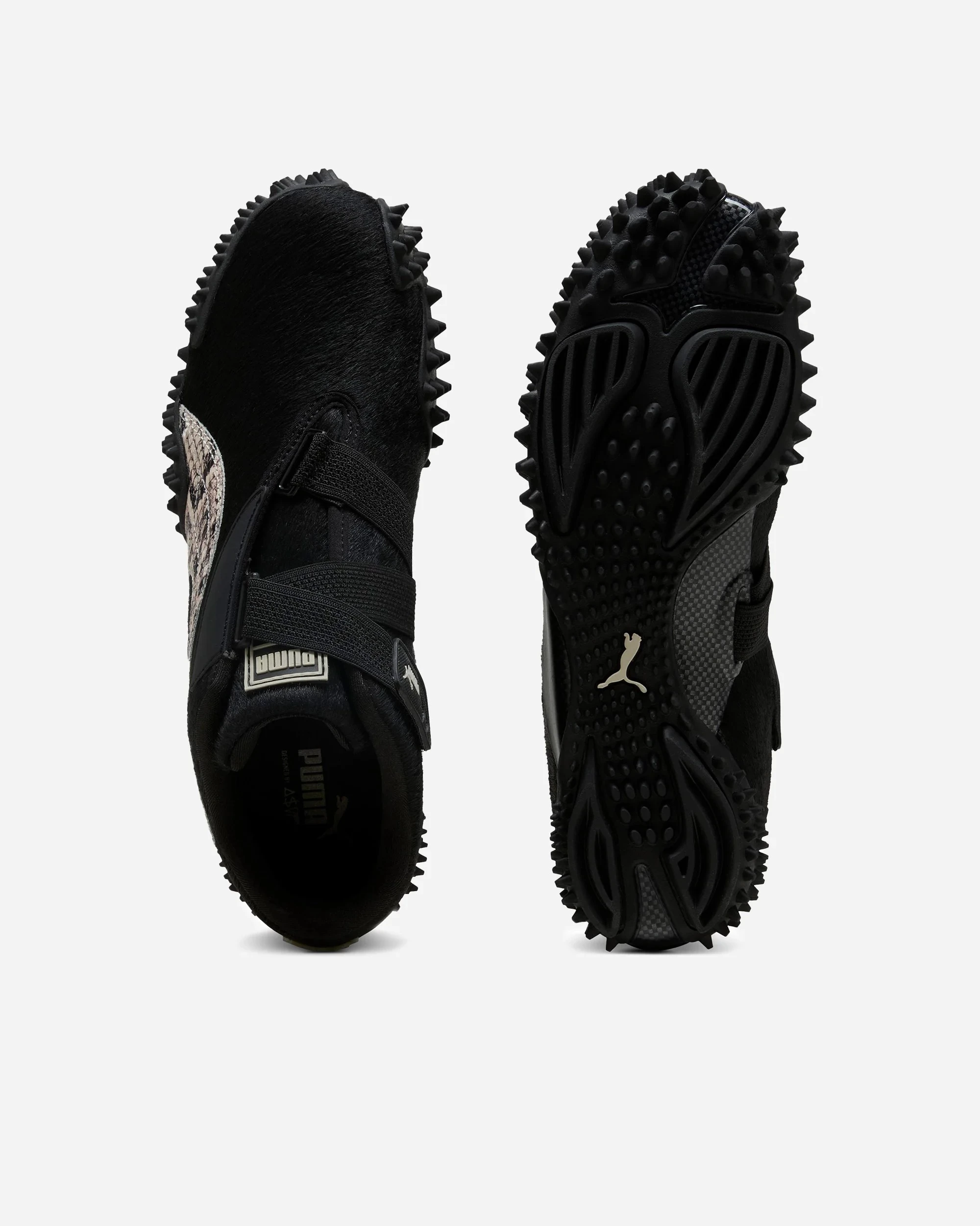Cola De Caballo De Asap Rocky