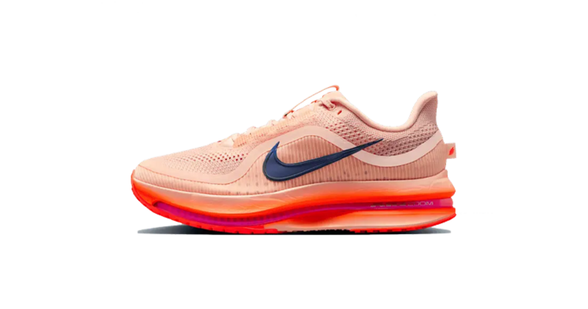 Nike Pegasus Premium Washed Coral II6308-600 | Dead Stock